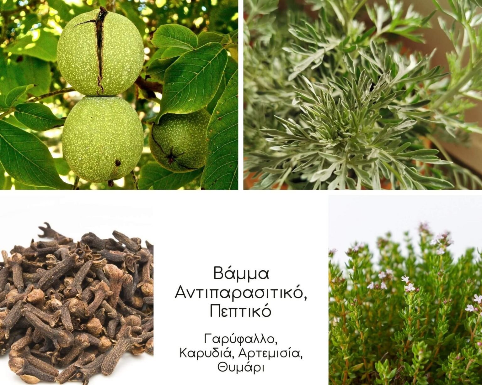 Αντιπαρασιτικό Πεπτικό Βάμμα – Aquantum Shop